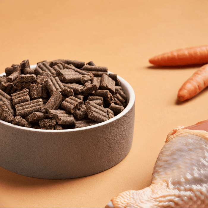 DARF Cold Pressed Dog Food from Fetch Your Pet Needs