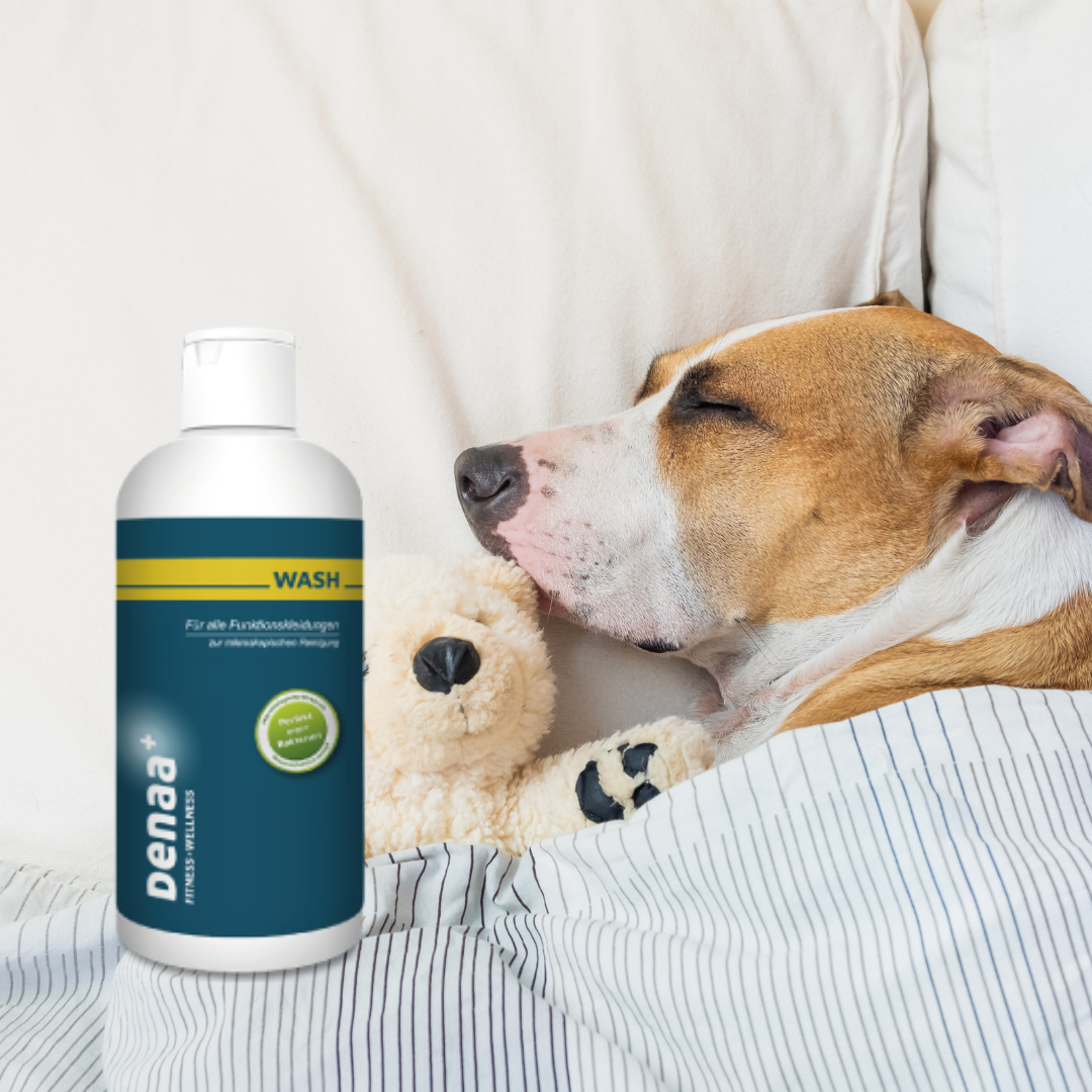 Wash Probiotic Laundry Detergent | Provilan Denaa + – Fetch Your Pet Needs