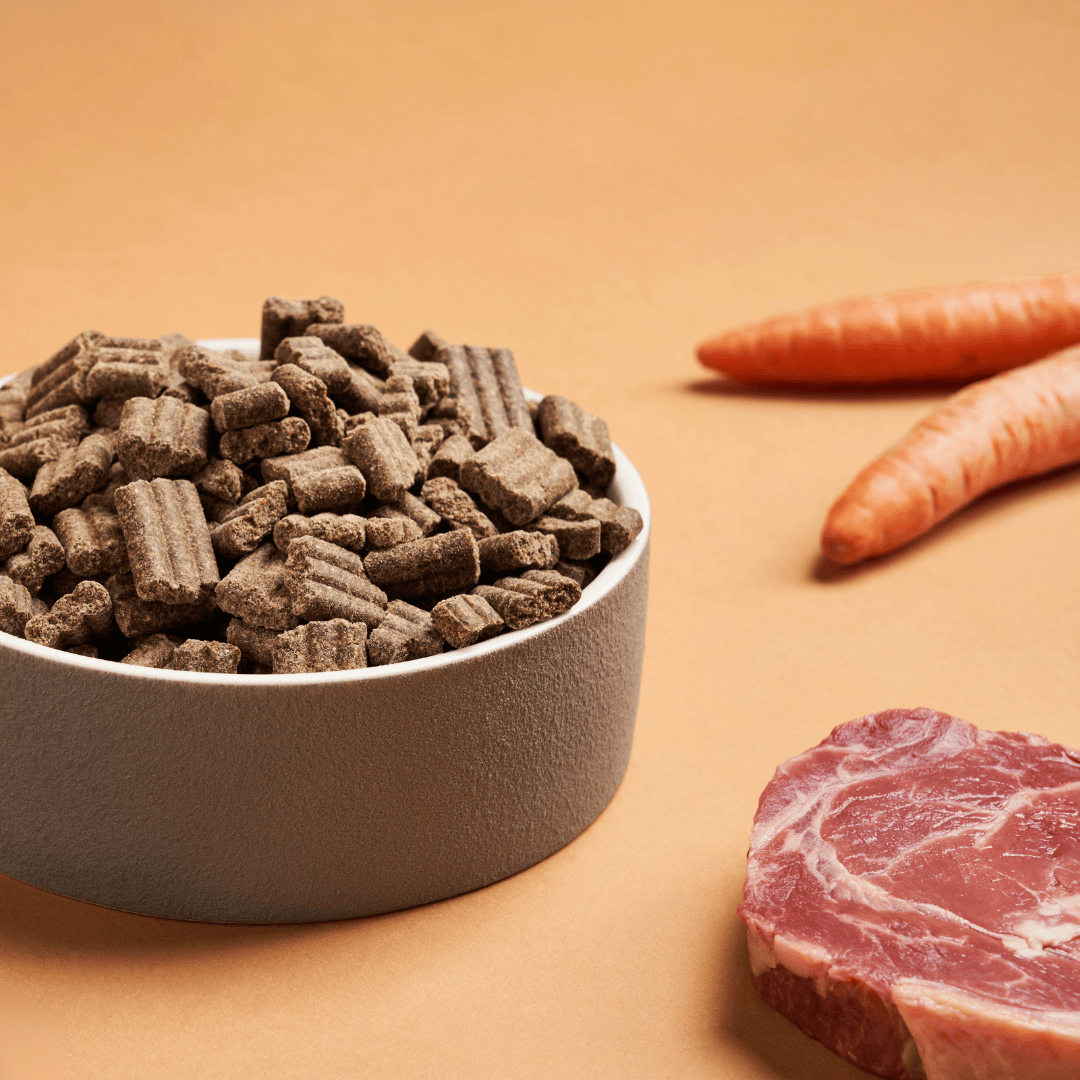 DARF Beef Cold Pressed Dog Food