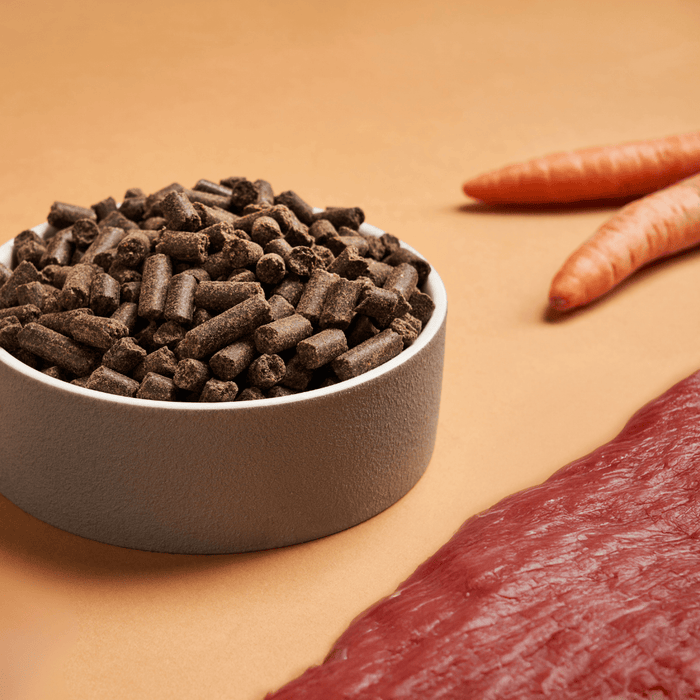 DARF Cold Pressed Dog Food from Fetch Your Pet Needs