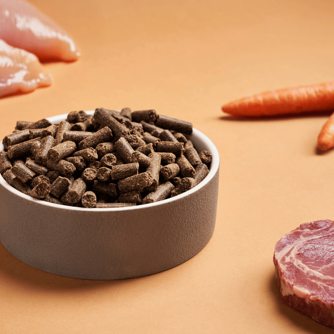 DARF Cold Regular Pressed Dog Food
