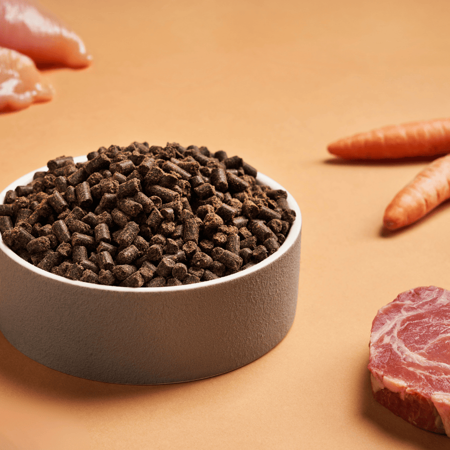 DARF Cold Pressed Dog Food from Fetch Your Pet Needs