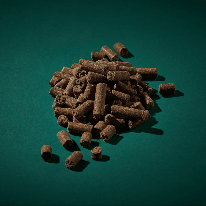 DARF Cold Pressed Dog Food from Fetch Your Pet Needs